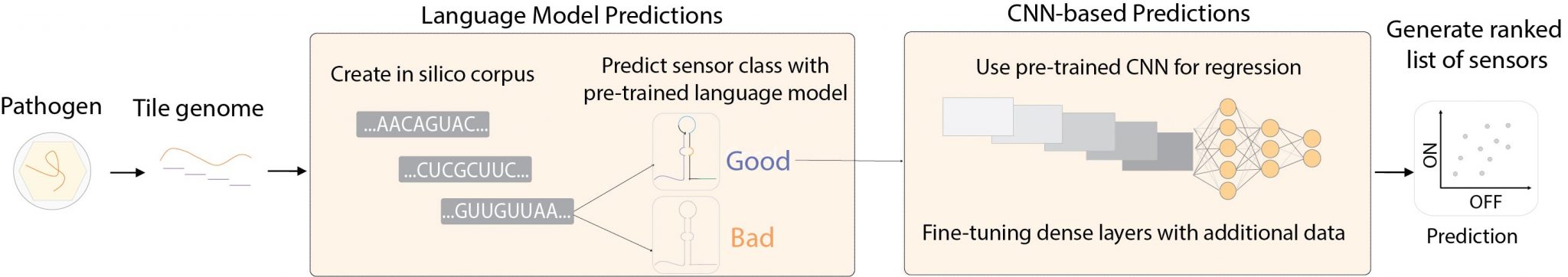 Going Beyond Human Brains: Deep Learning Takes On Synthetic Biology