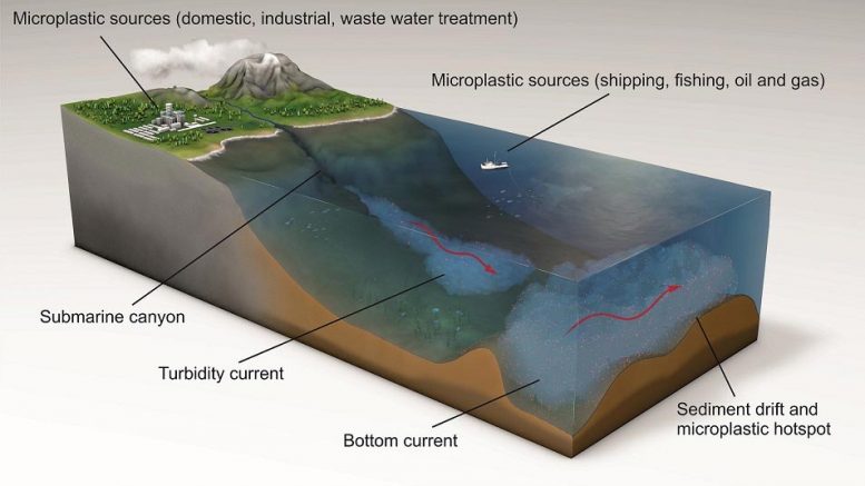 Zapping Microplastics Out of Our Waterways With Pulsing Ultrasound Waves