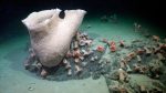 Massive Iceberg Calves in Antarctica, Revealing a Hidden Seafloor ...