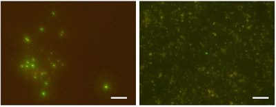Life Discovered in Deep Ocean Sediments at Temperatures Above Water’s ...
