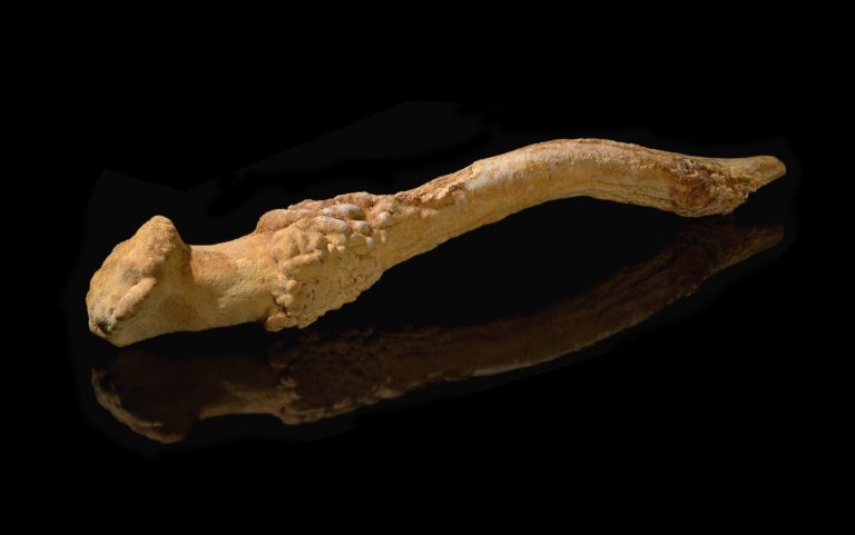 35,000-Year-Old Ritual Complex Found in Mysterious Manot Cave