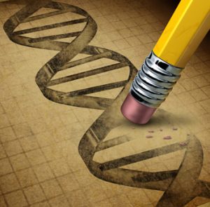 Deleting a Single Gene Reduces Fat Mass and Extends Lifespan of Mice by 20%