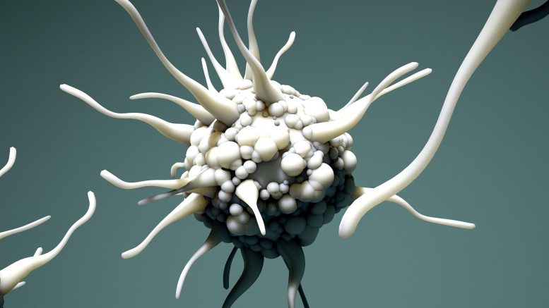 Neuroscientists Discover that Dendritic Spikes Enhance the Brain’s ...
