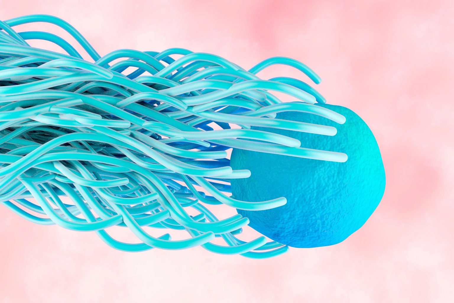 Shortcut Discovered for Dendritic Cells