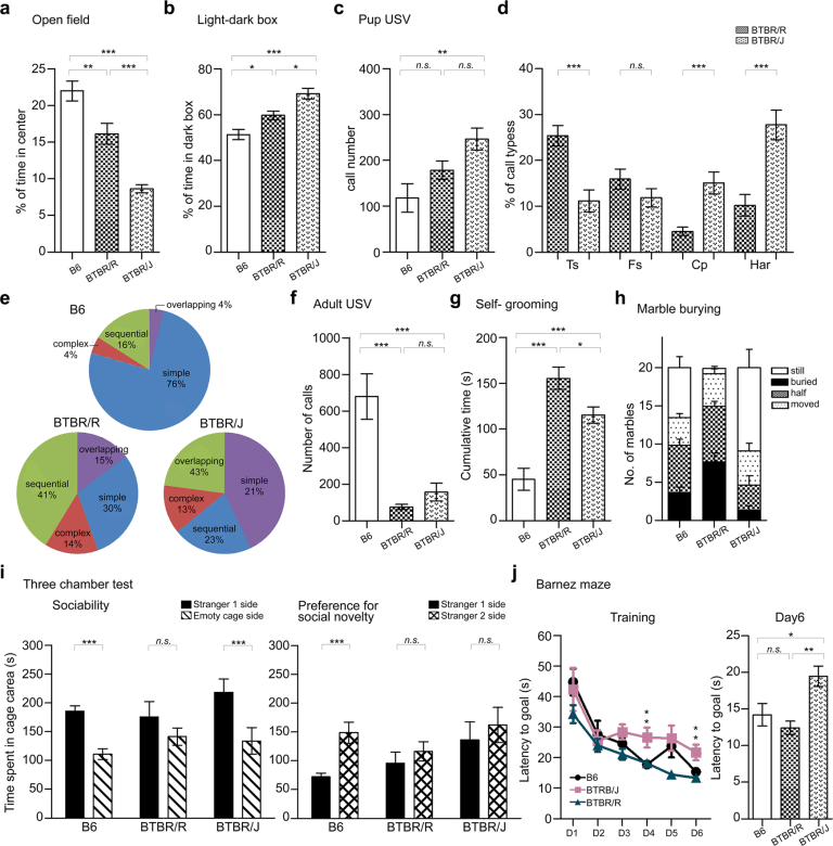 Does Ancient Virus Genome Drive Autism?