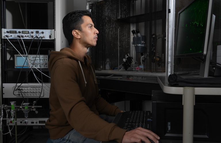 Unraveling Memory’s Molecular Mystery: How Brain Cells Stabilize ...
