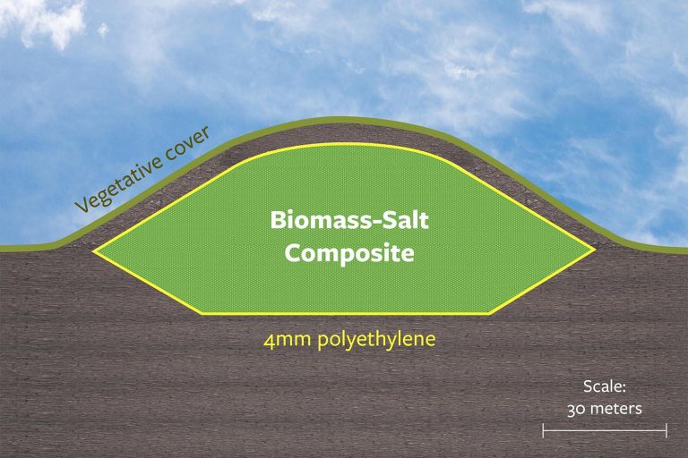 A Cost-Effective Solution to Climate Change: Burying Biomass in Dry ...