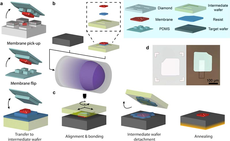 The Diamond Solution: The Sparkling Secret to Next-Gen Quantum Tech