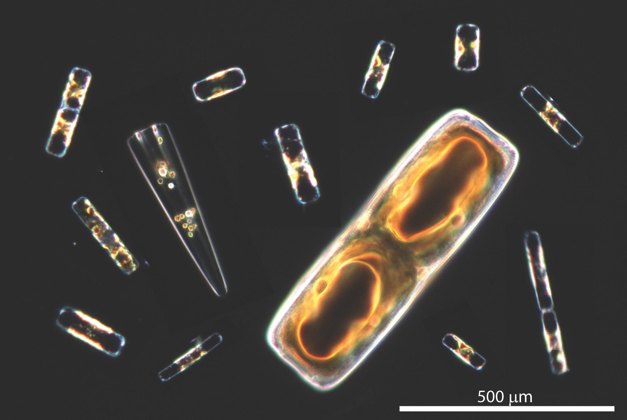 “Groundbreaking” Findings – Previously Unknown Process Could Be ...