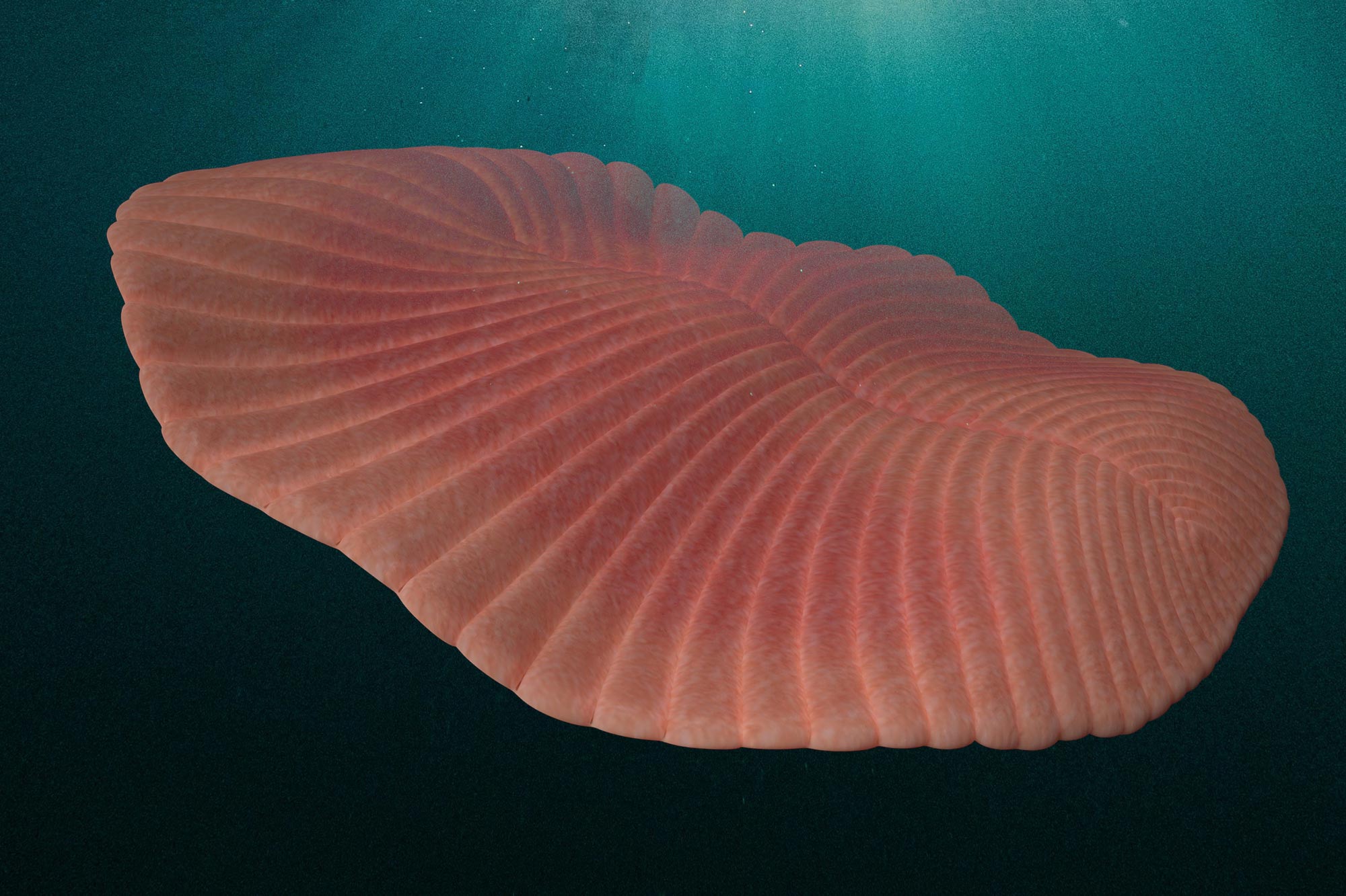 Earth Might Be Experiencing 7th Mass Extinction, Not 6th – “A True ...