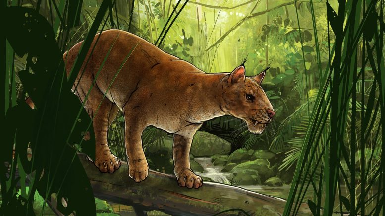 Sabre-toothed Cat News - SciTechDaily
