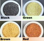 Scientists Discover Hidden “Good Fats” in Green Rice That Could ...