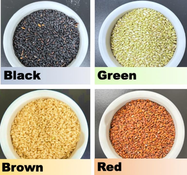 Scientists Discover Hidden “Good Fats” in Green Rice That Could ...