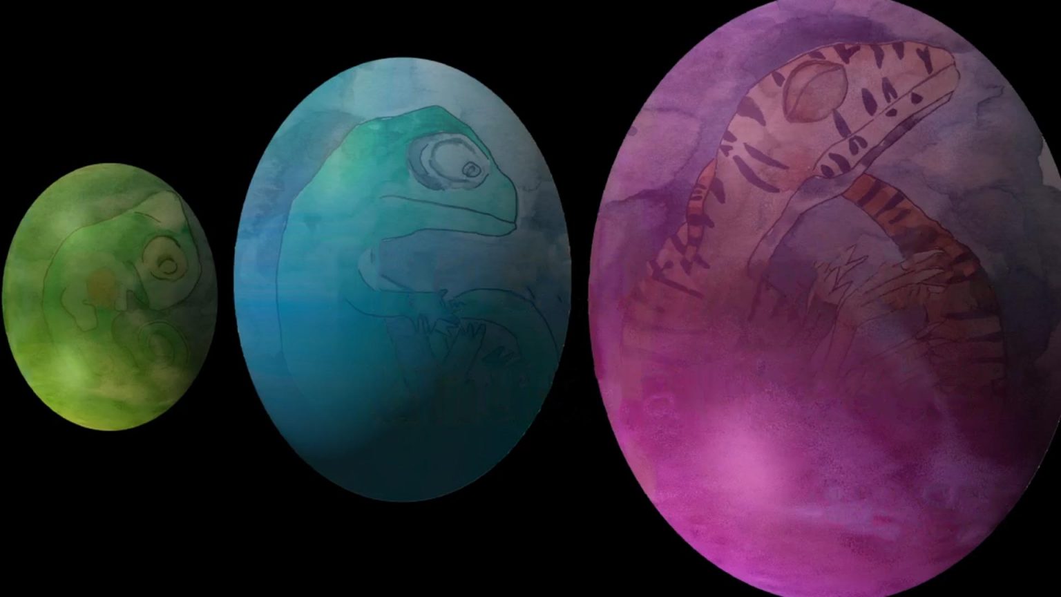 Exquisitely Preserved Dinosaur Embryo Found Inside Fossilized ...