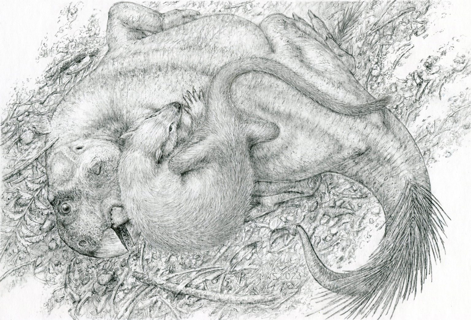 Locked in Mortal Combat: Unusual Fossil Shows Mammal Attacking a Dinosaur