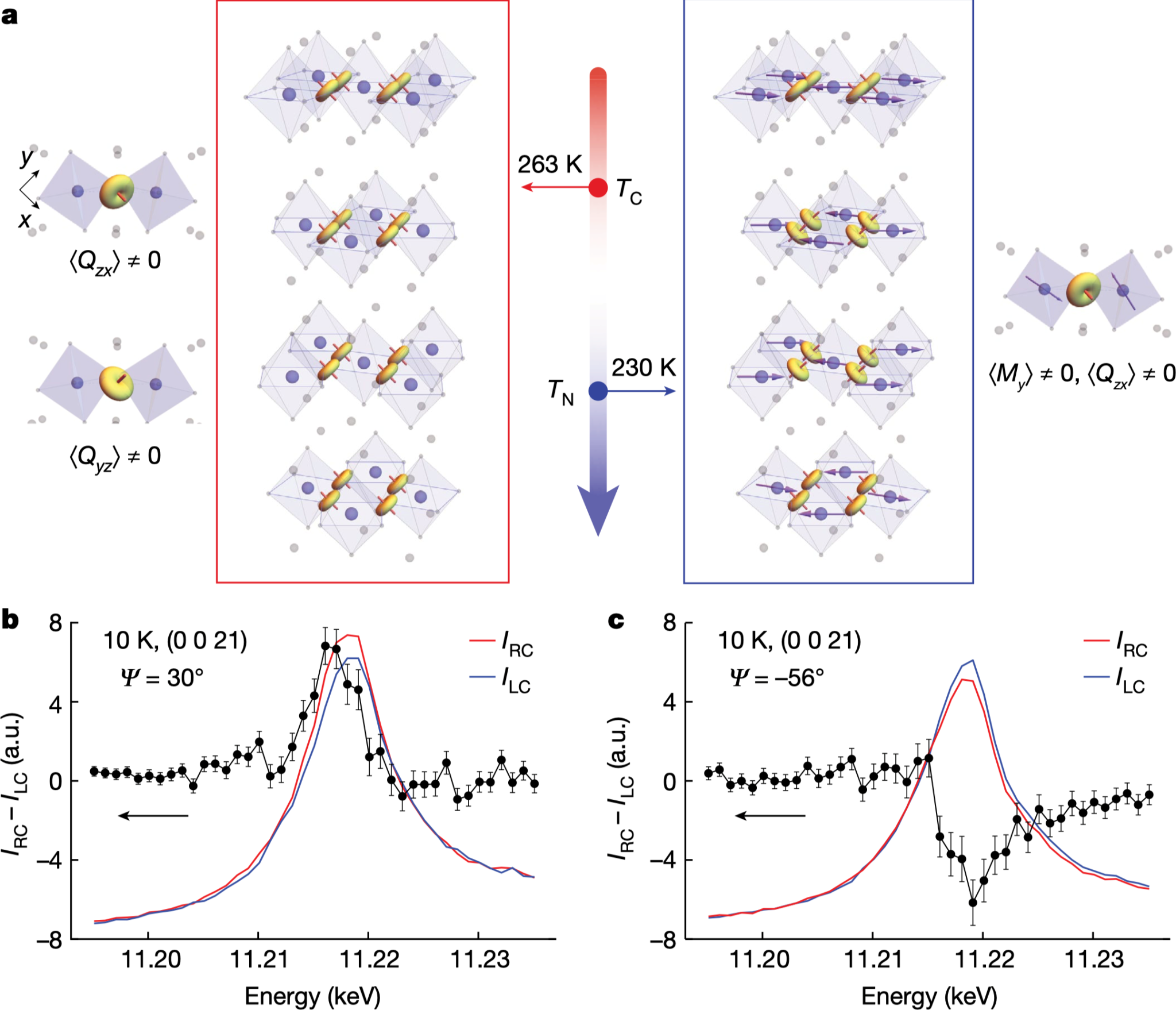 Half-Century Quantum Mystery Solved: Scientists Directly Observe Spin ...