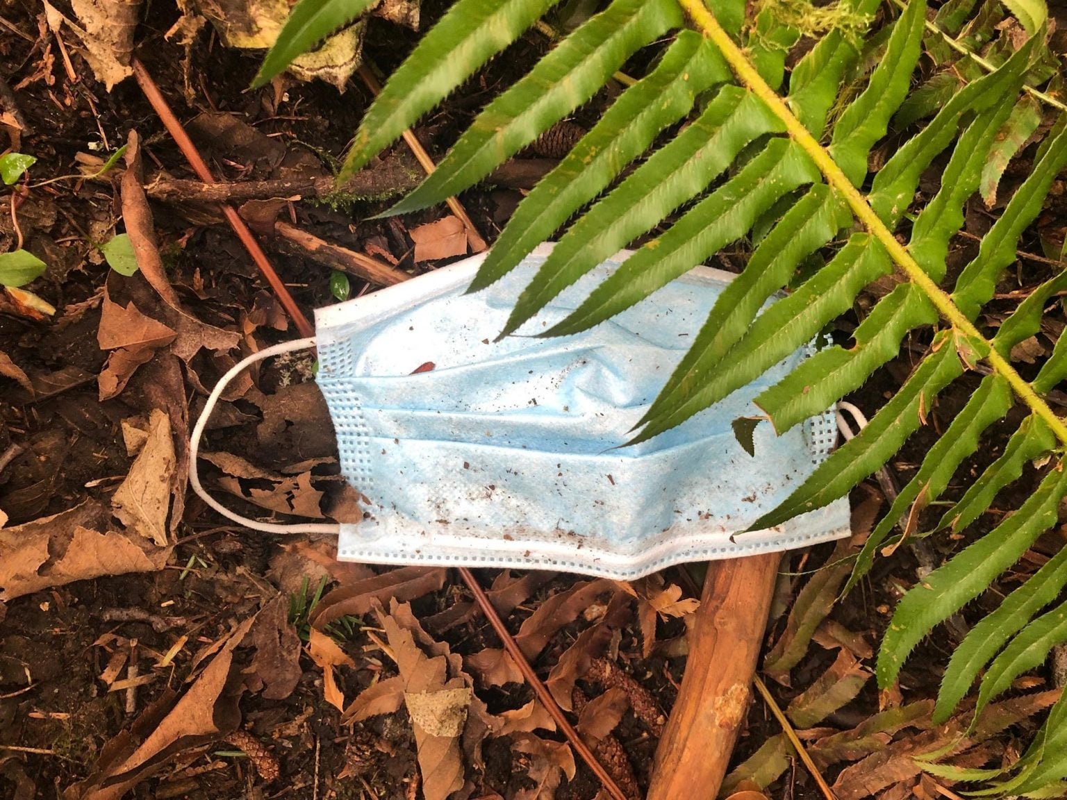 The Environmental Toll of Disposable Masks – And How To Reduce It