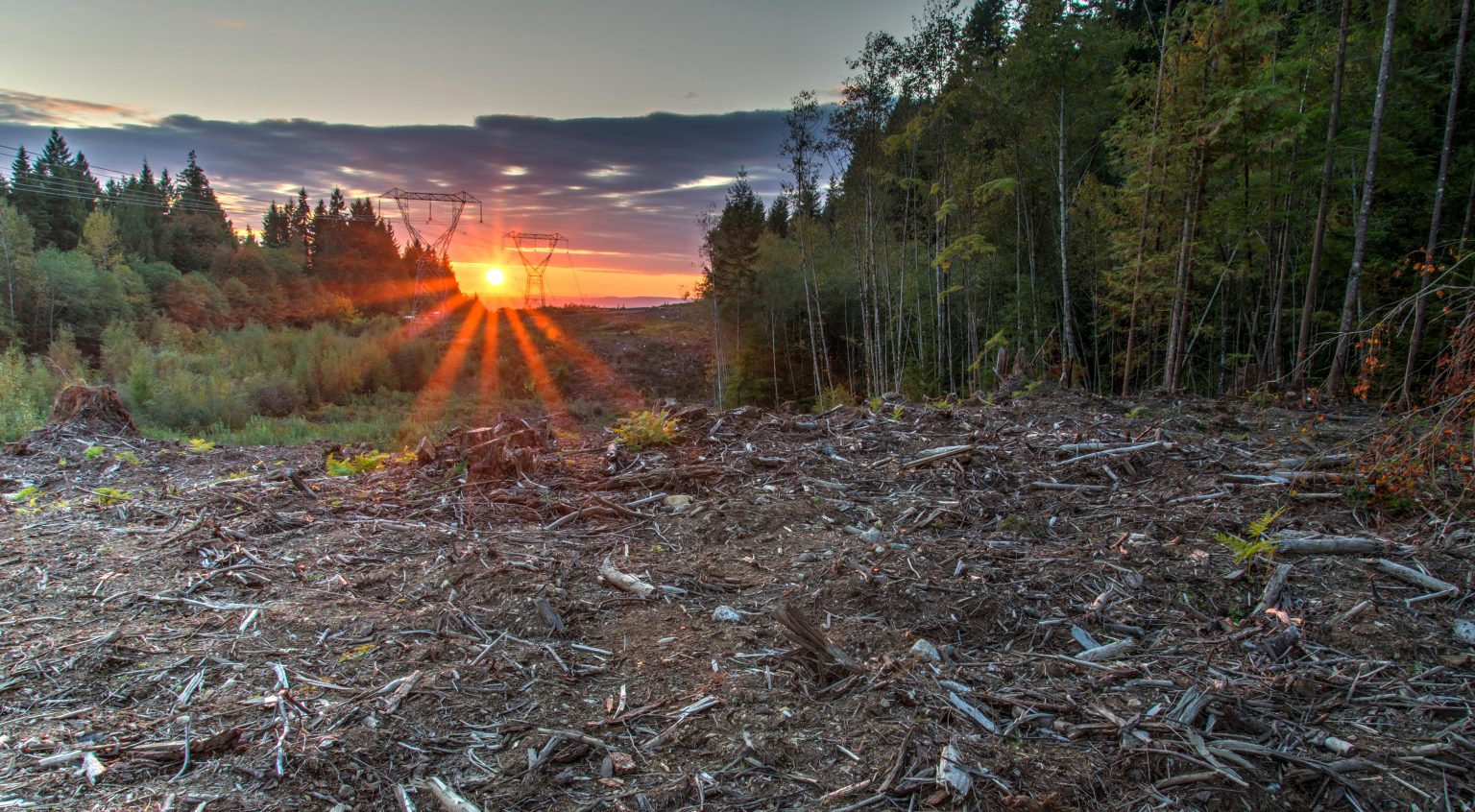 "Alarming" Disconnected World: More Than 90% of Protected Areas Are ...