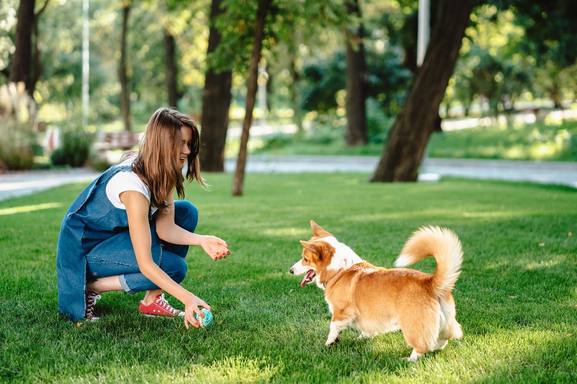 Are Dog Parks Safe From Disease