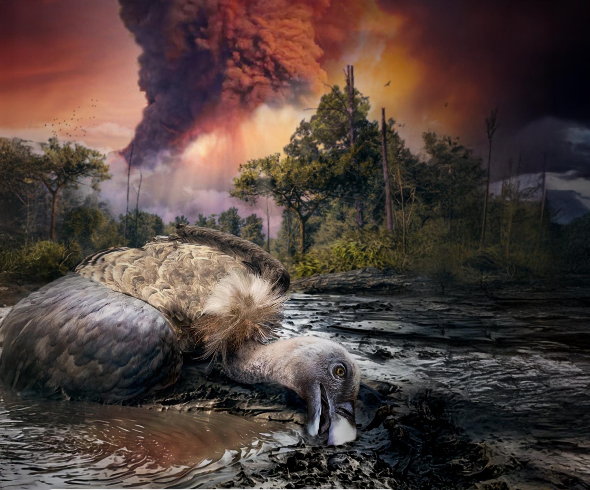 A 30,000-Year-Old Fossil Frozen in Volcanic Ash Holds an Unbelievable ...