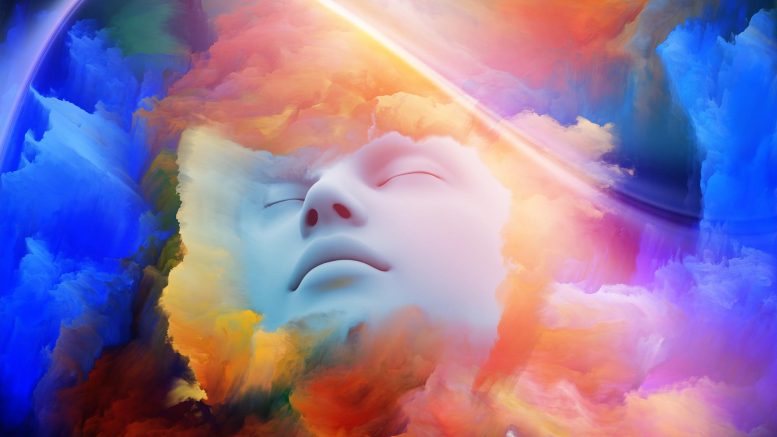 Rapid Eye Movements During REM Sleep Represent Gaze Shifts in the Dream ...