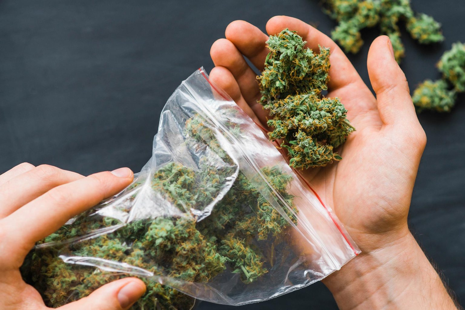 What’s Lurking in Your Weed? Scientists Warn of Toxic Fungal Contamination