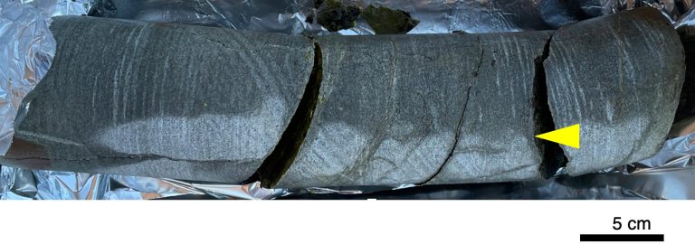 Earth’s Oldest Living Organisms Discovered Trapped in 2-Billion-Year ...