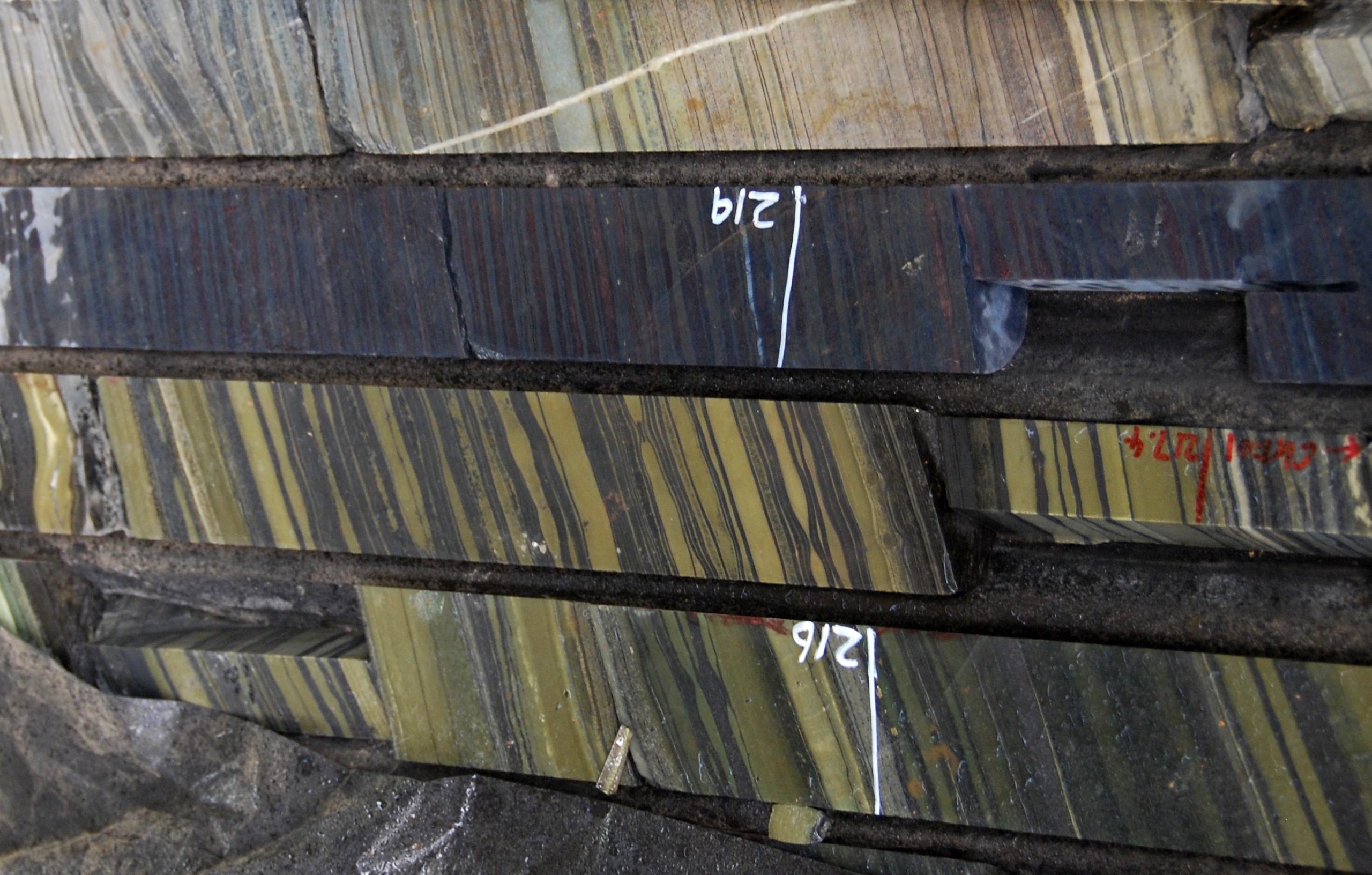 The Iron Age of Biology: Discovering Life’s First Building Block