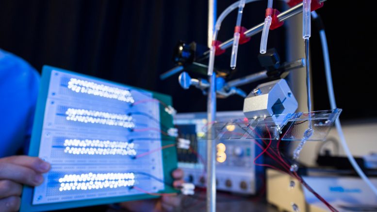 Floating "Power Buoy" Creates Electricity from Ocean Waves