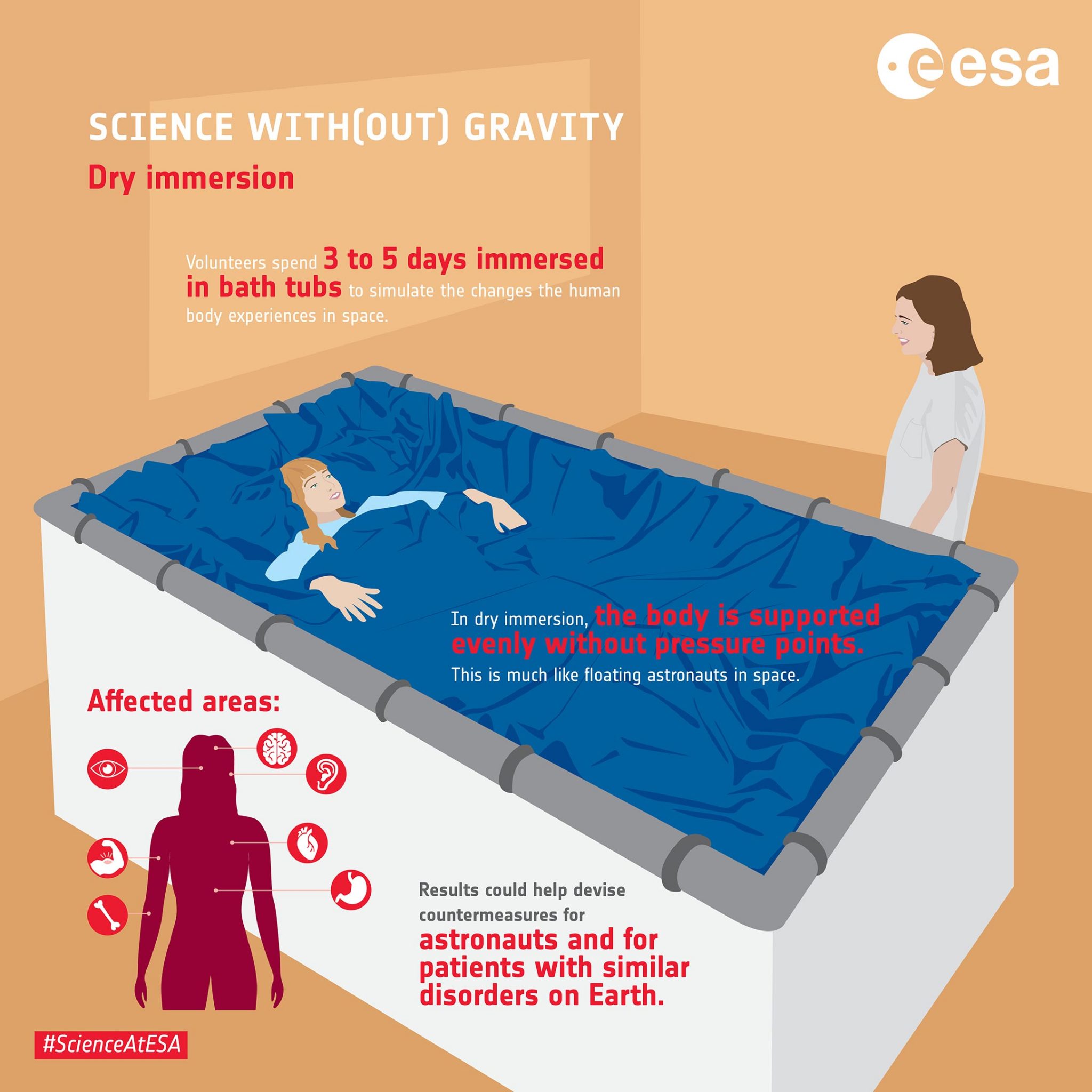 All-Female Crew in Water-Tank Dry Immersion Spaceflight Study