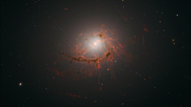 Hubble Views the Dust Filaments of Spiral Galaxy NGC 4217