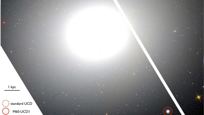 SciTechDaily - Page 1866 of 2054 - Science, Space and Technology News 2023