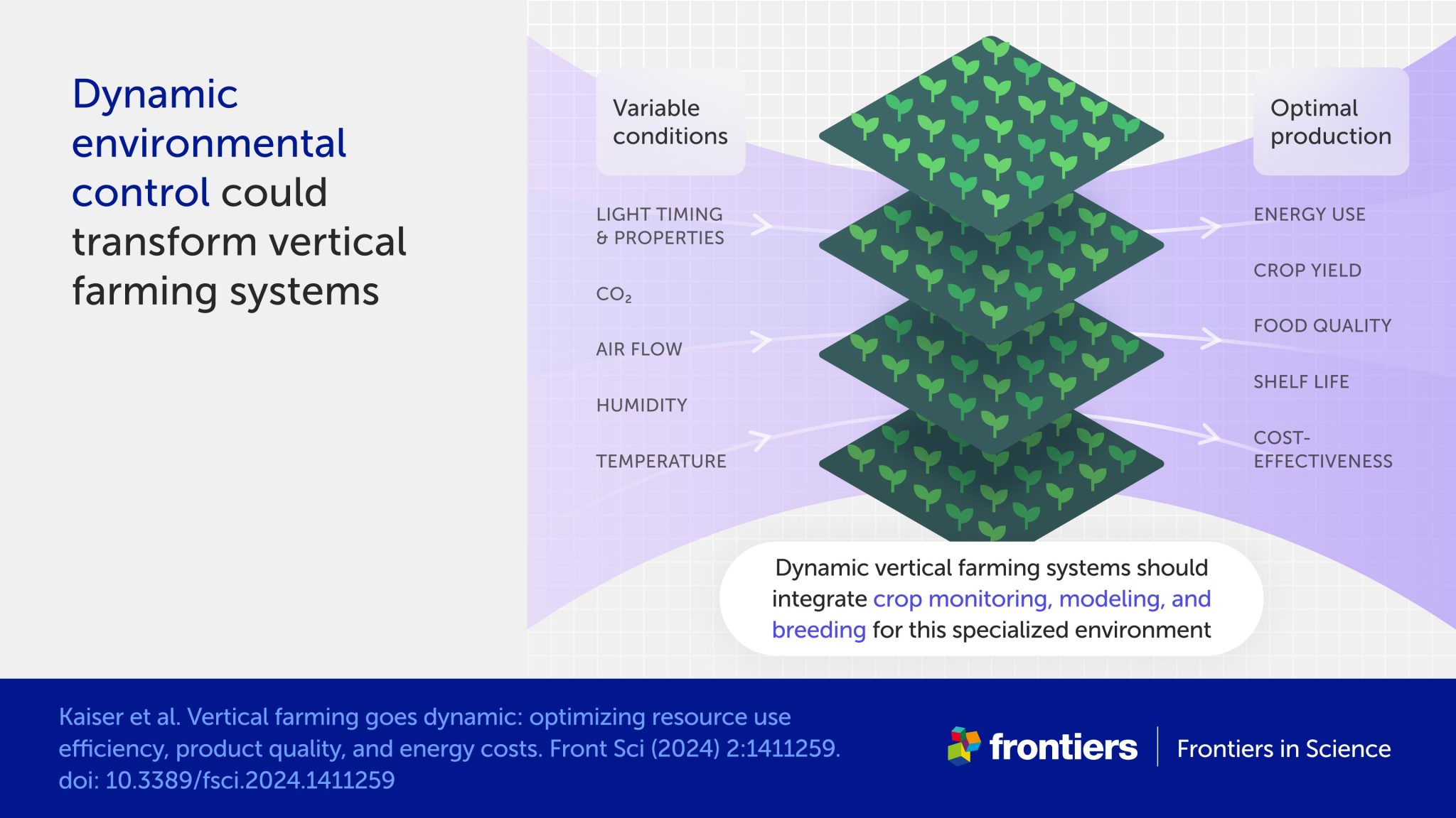 Feeding the Future: How Vertical Farming Could Transform Food Production