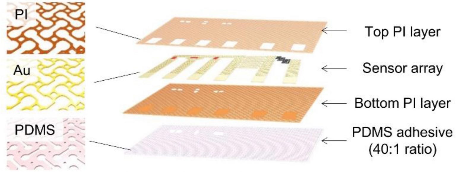 Sweat-Proof Electronic “Smart Skin” Takes Reliable Vitals, Even During ...