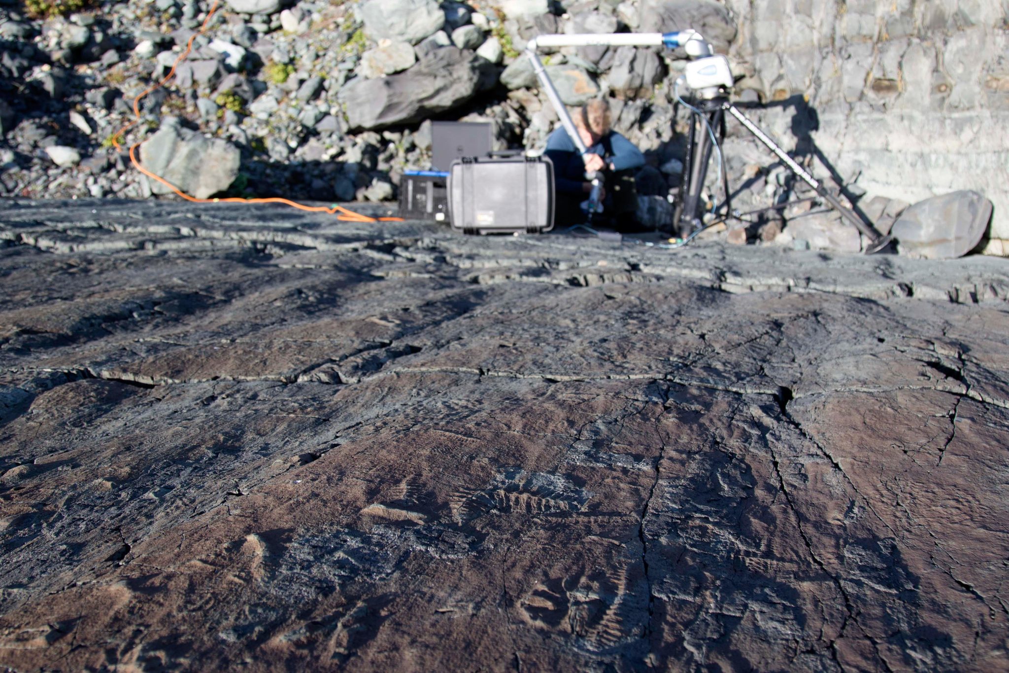 First Animals Formed Complex Ecological Communities Before the Cambrian ...