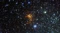 Hubble Image of the Week - Super Star Cluster Westerlund 1