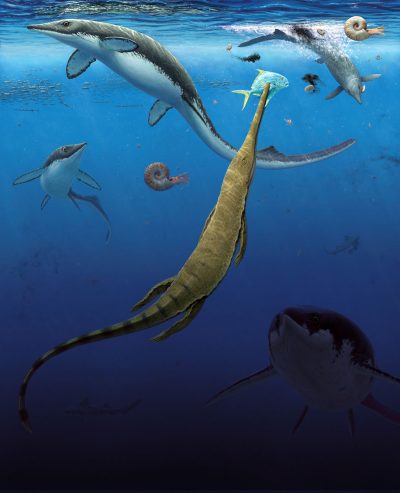 Textbooks Were Wrong: 249-Million-Year-Old Fossil Discovery Upends ...
