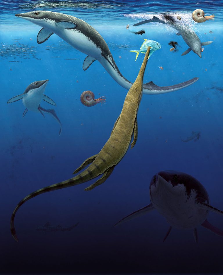 Textbooks Were Wrong: 249-Million-Year-Old Fossil Discovery Upends ...