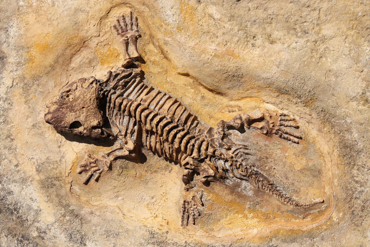 When Mega El Niño Rewrote Earth’s Fate: The Untold Story of the Largest ...