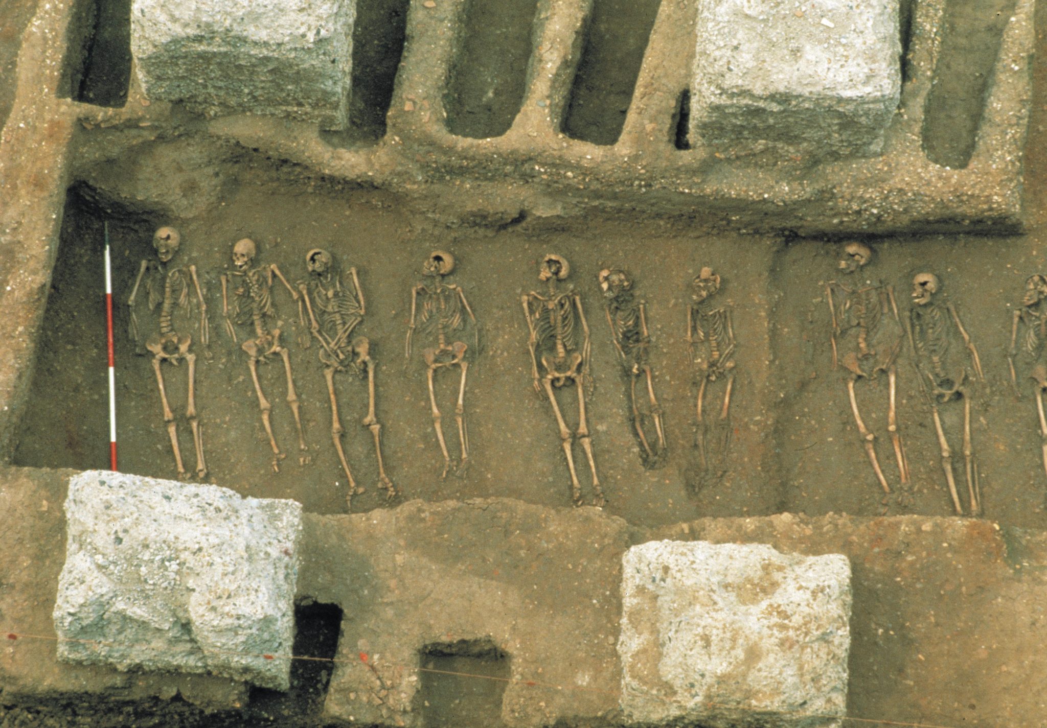 Plague Trackers: Uncovering the Elusive Origins of the Black Death
