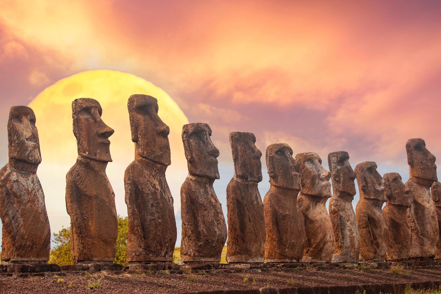 What Really Happened on Easter Island? New Evidence Challenges Long ...