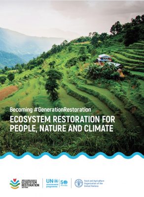 UN Decade on Ecosystem Restoration: UN Urges Intense Restoration of ...