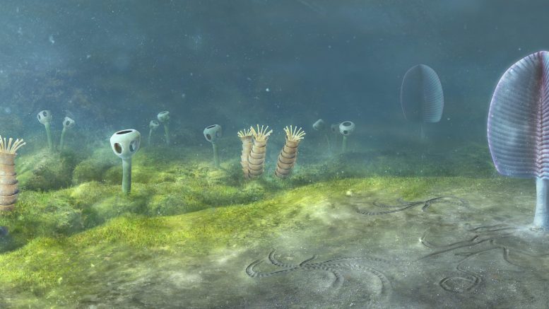 Hubble Views Spiral Galaxy NGC 5793