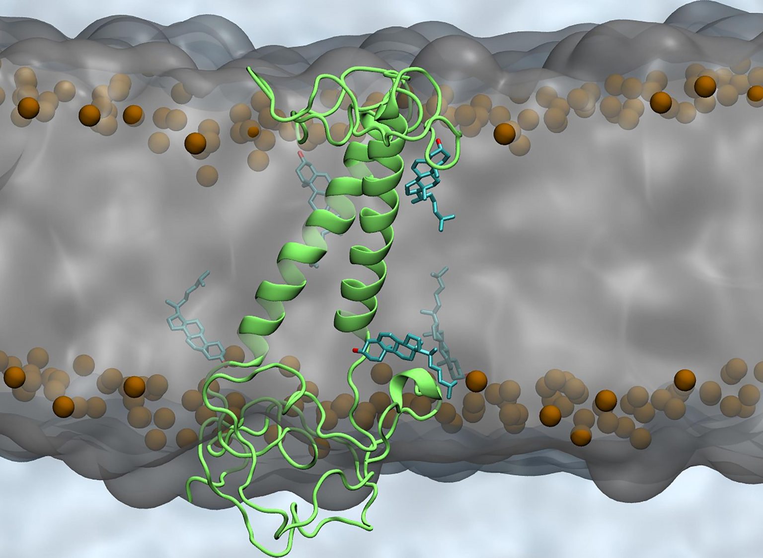 Brain Cell Membranes' Lipids Largely Overlooked for Alzheimer's Disease ...