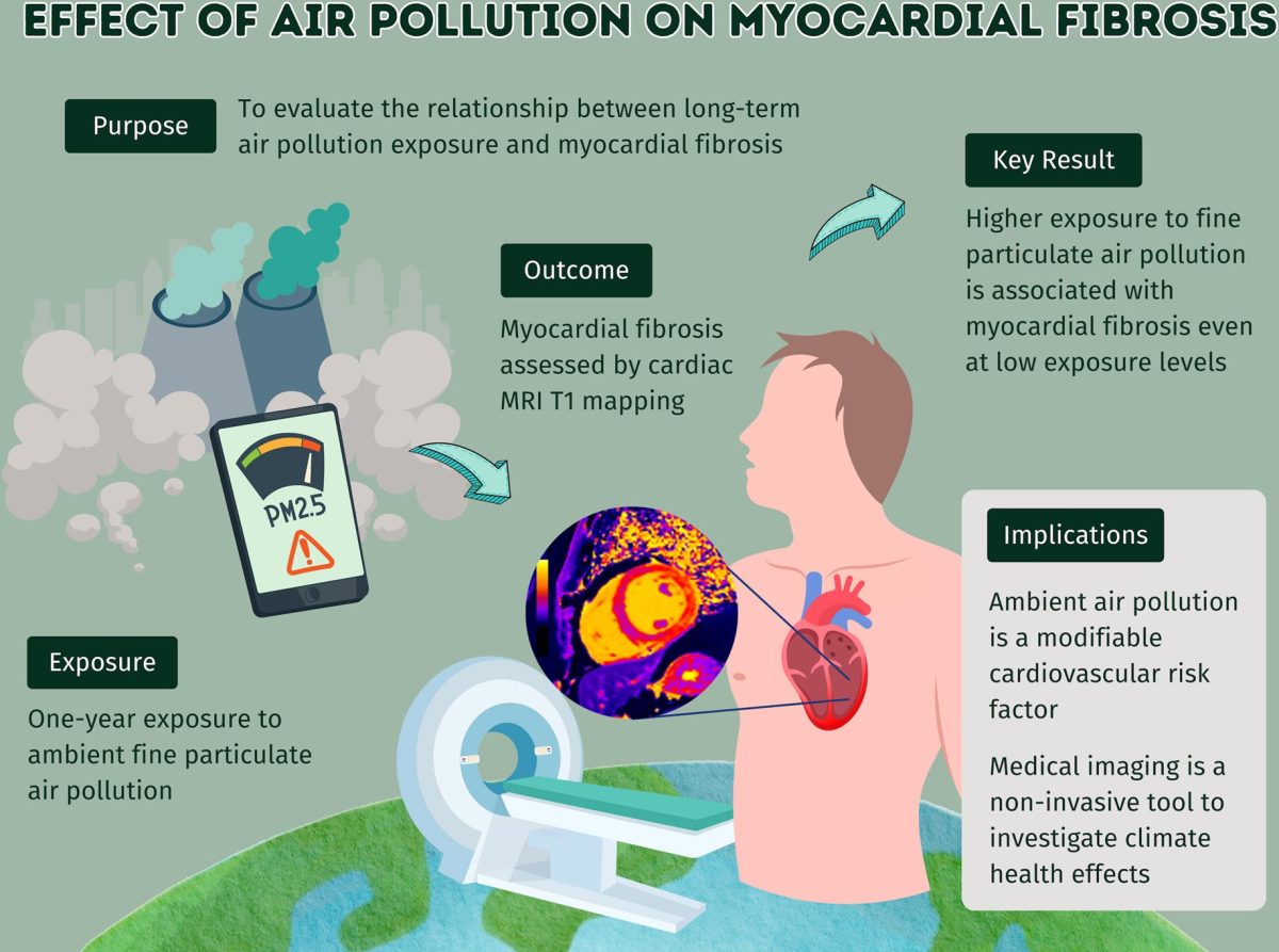 Even “Safe” Air Can Silently Scar Your Heart – MRI Shows How