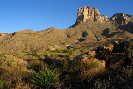 This 250-Million-Year-Old Reef Became a Mountain in Texas – And It’s ...