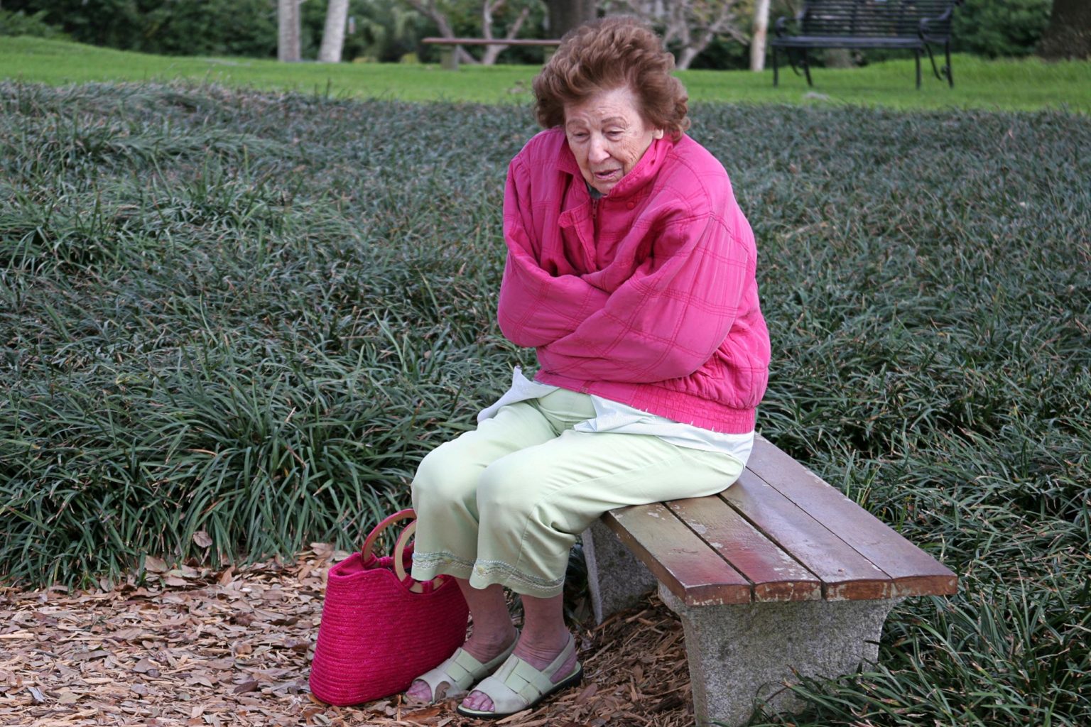 Why It Gets Colder As We Age: Immune Cell Betrayal