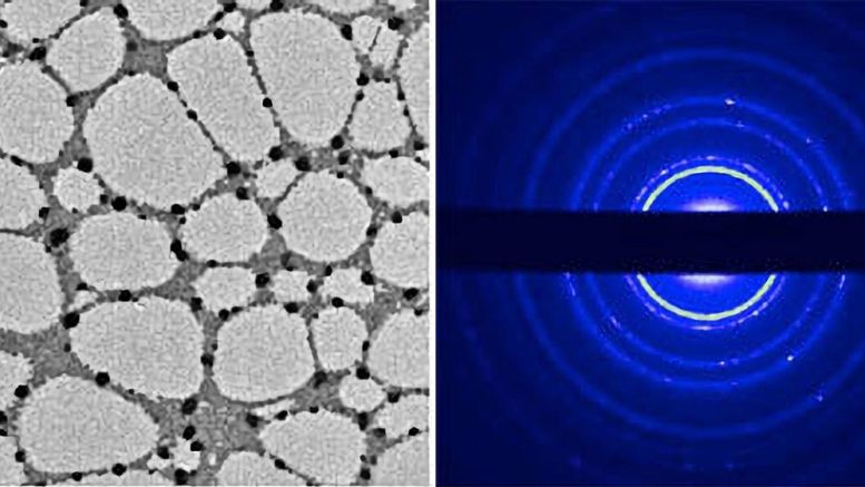 Electron Microscope News - SciTechDaily