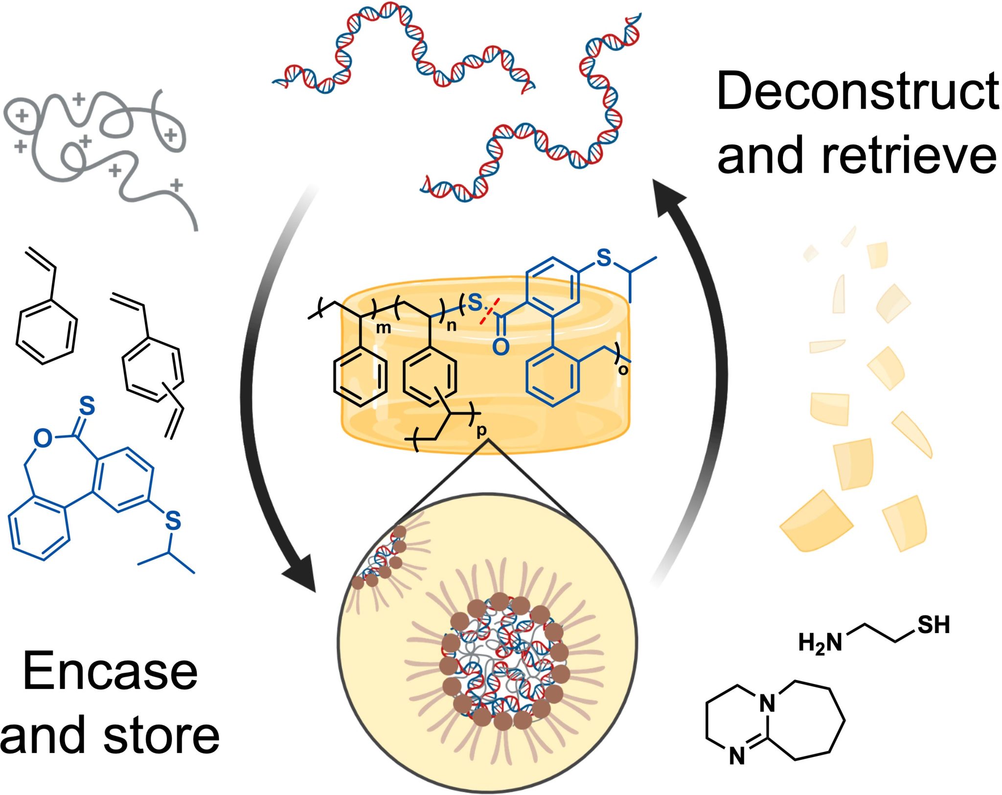 Jurassic Park in Real Life: MIT Creates Synthetic Amber for DNA Storage