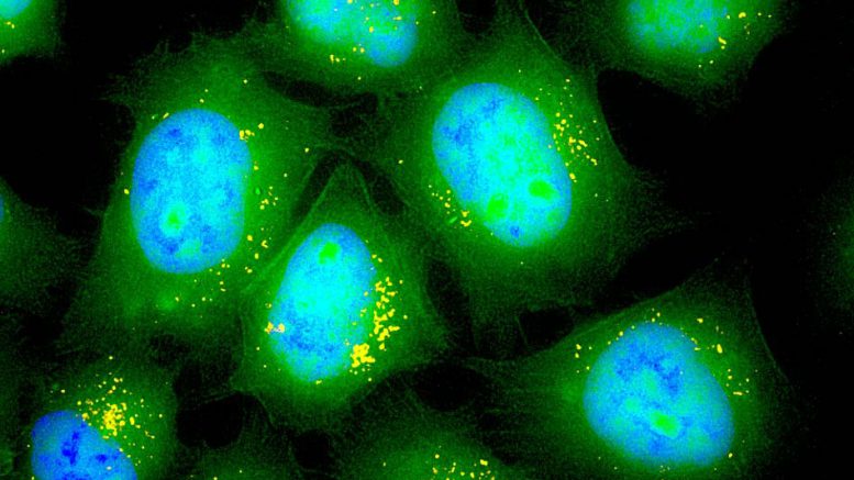 No More Needles: Inhalable COVID-19 Vaccine Shows Promise